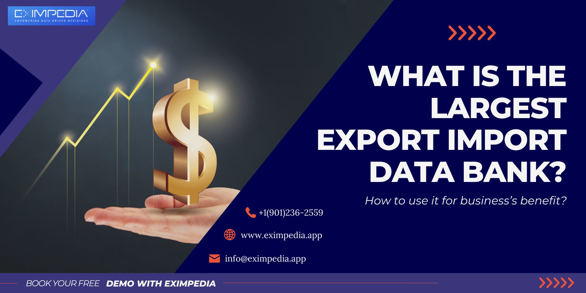 What is the largest Export Import Data Bank?